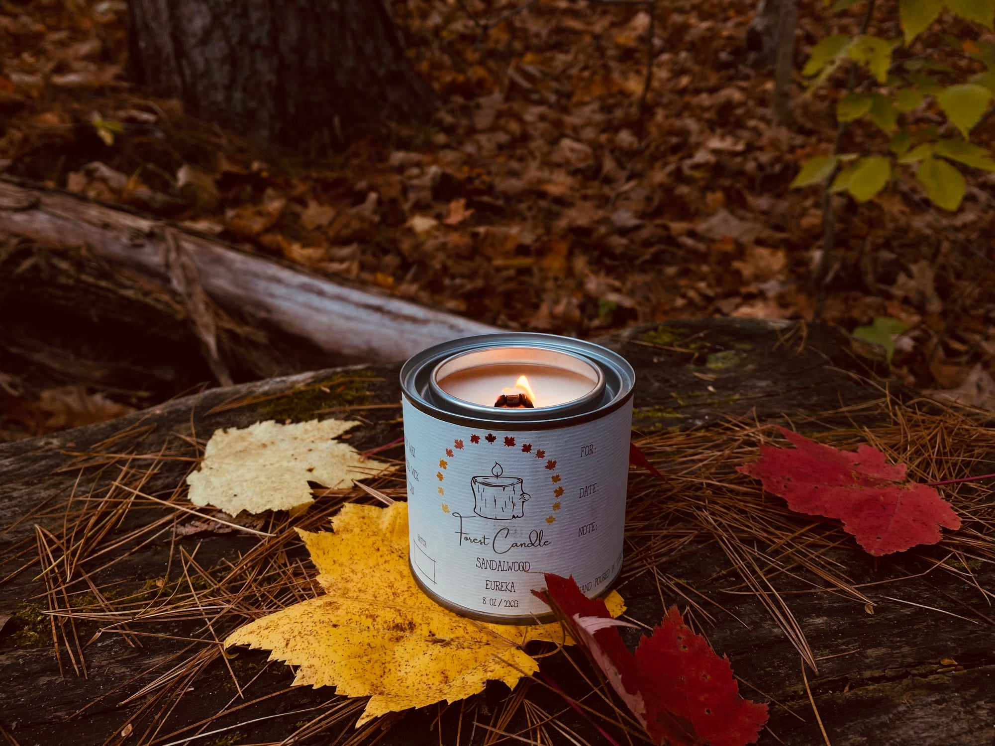 Forest Candle - A Toronto Candle Company