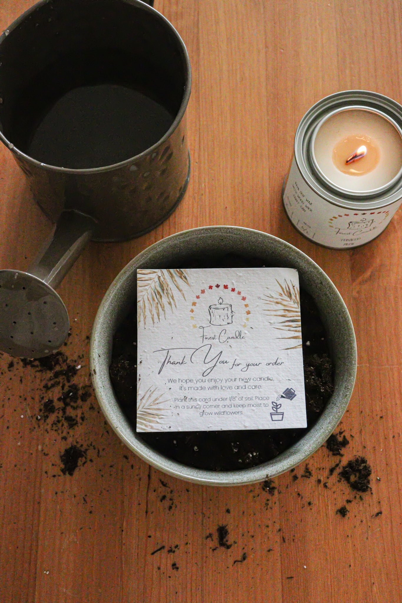 Forest Candle - A Toronto Candle Company